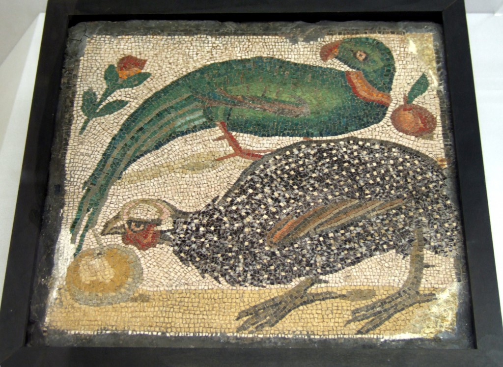 First Greek Encounter with a Parrot - Beachcombing's Bizarre History Blog